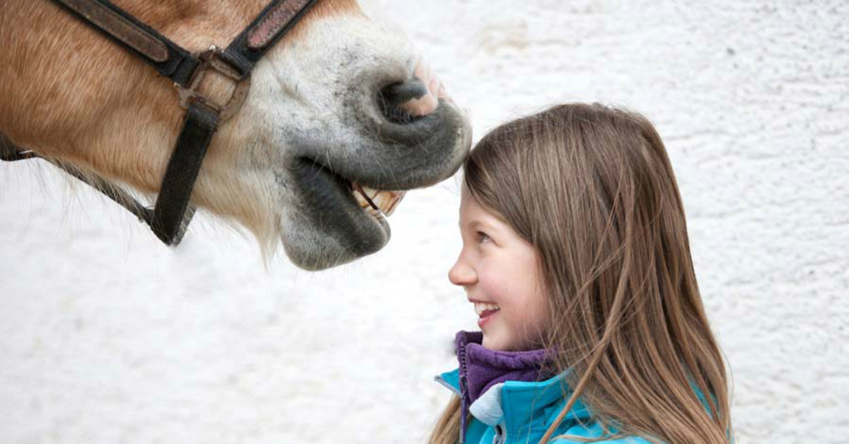 Équithérapie: Avantages de la thérapie par le cheval | Sunrise Medical